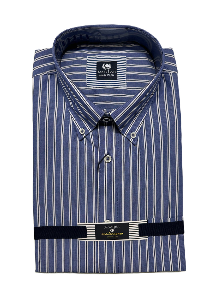 Camicia manica lunga, Ascot, fino a 6XL, puro cotone, vari colori ...